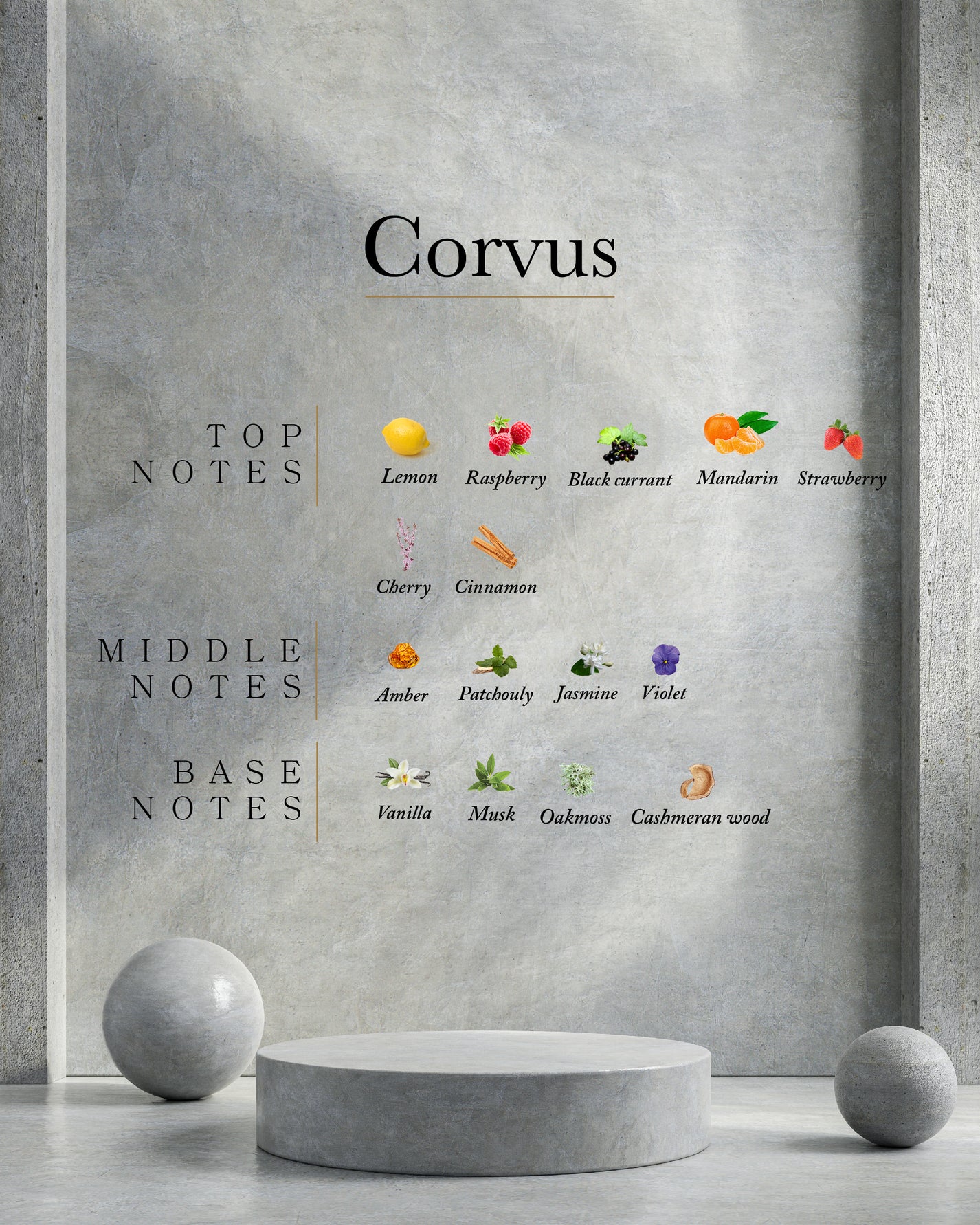 Corvus – AHLI